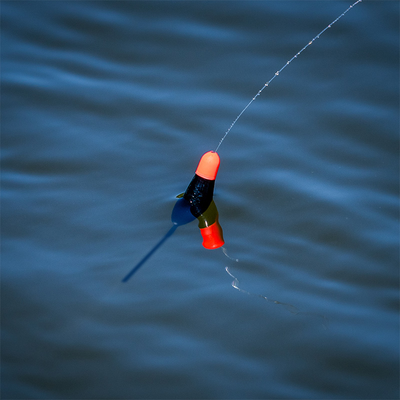 Preston Innovations F1 Dibber Pole Floats - £2.25